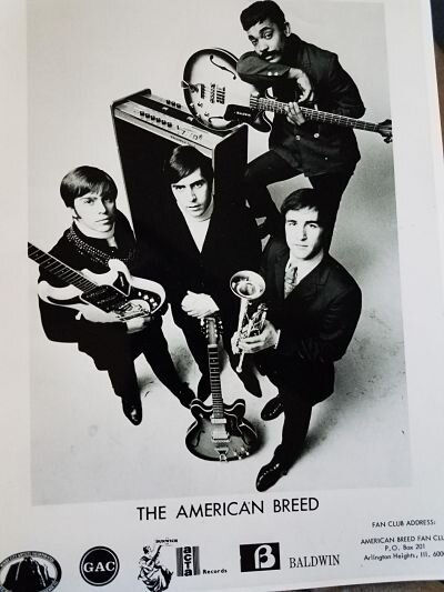 Charles Colbert (The American Breed) | Know Your Bass Player